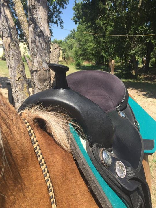 Mutton Withers? – Schurig Performance Gear